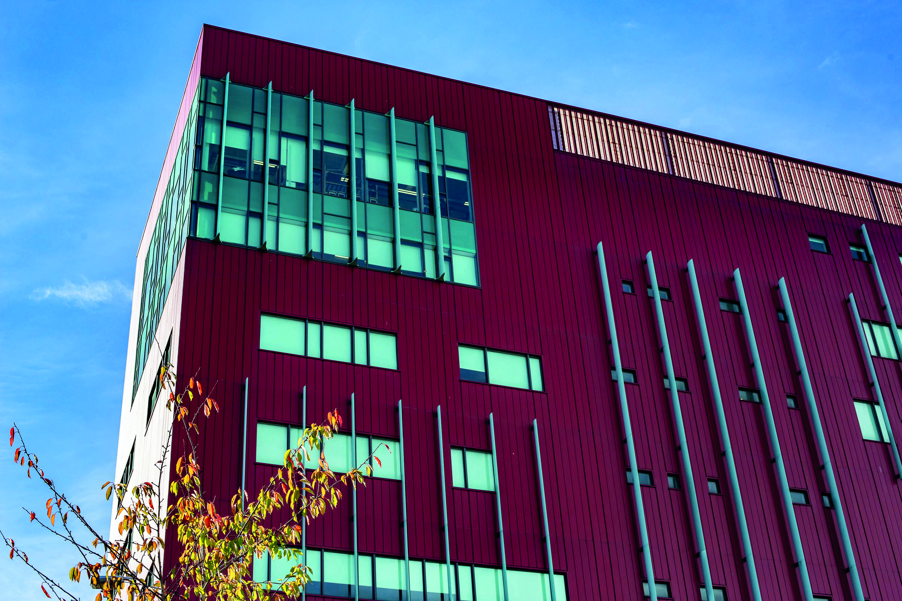 Expanding South Yorkshire contact centre CC33 appoints new Sheffield ...